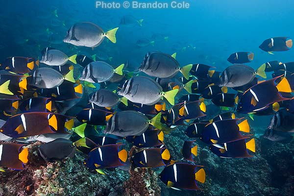 Galapagos Island in December: What to expect