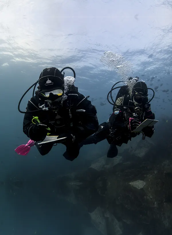 Scuba Diving in the Galapagos: How Hard is it?